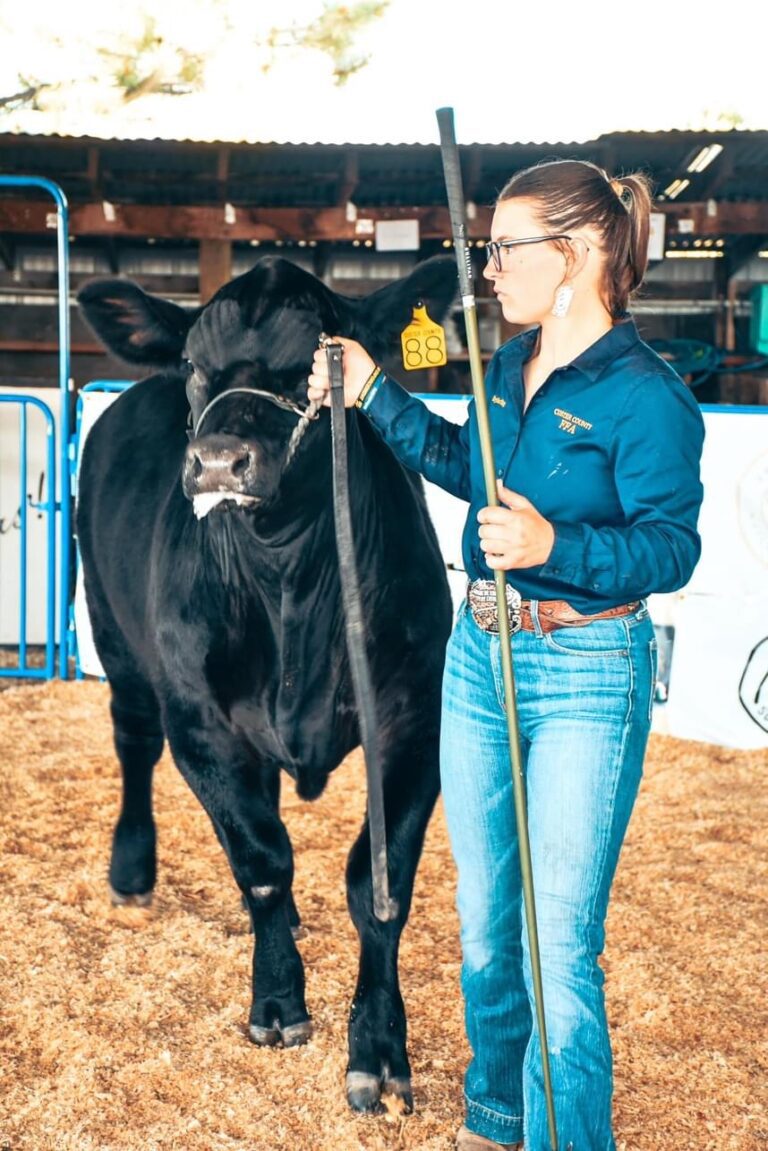 Meet our Beef Ambassadors! - Colorado Cattlewomen